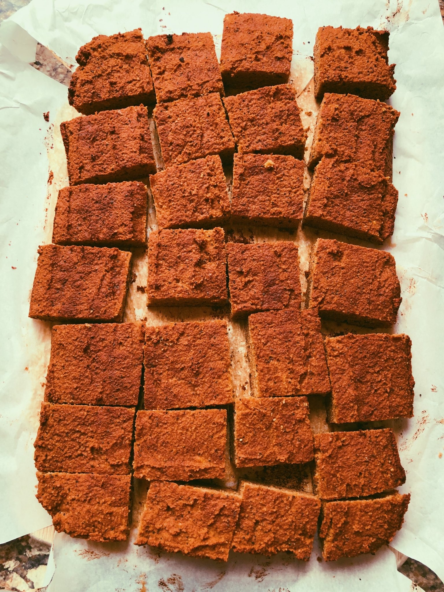 clementine poppyseed snack cake (grain free, scd diet) - earth to rose
